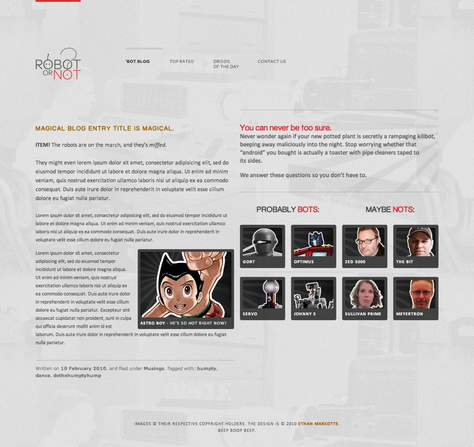 Robot or Not - Reeoo